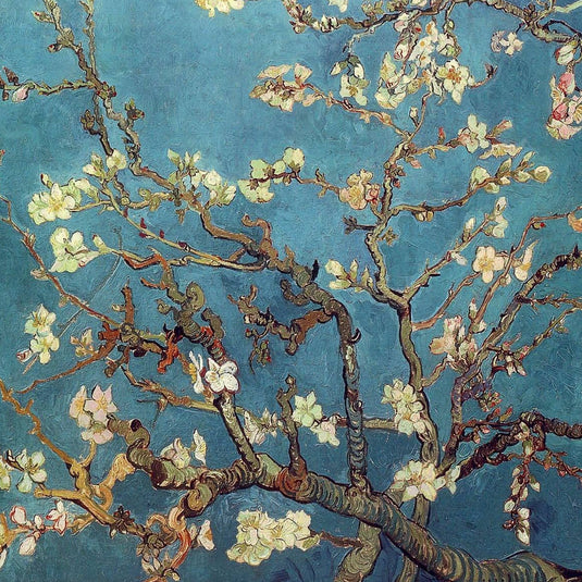 Magazin online Moldeco – MOLDECO